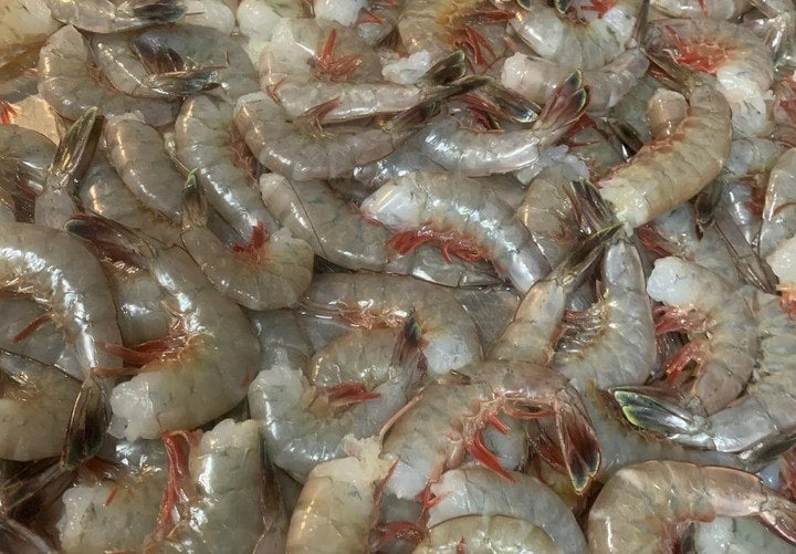 Headless Gulf Shrimp 21/25 ct | NTX Crawfish Company
